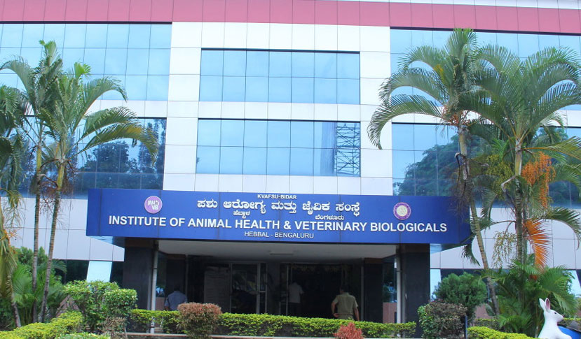 Welcome to Karnataka Veterinary, Animal and Fisheries University